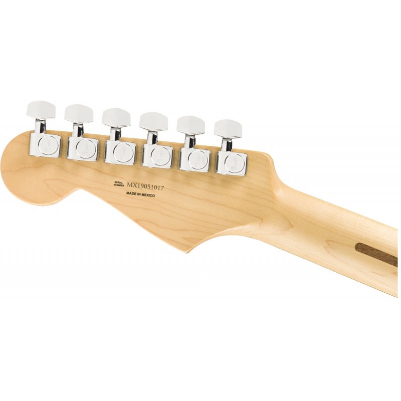 Fender Stratocaster® Player - Fender Chile