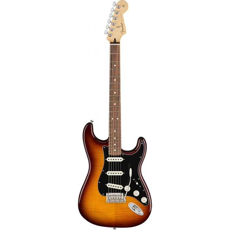 Fender Stratocaster® Plus Top Player - Fender Chile