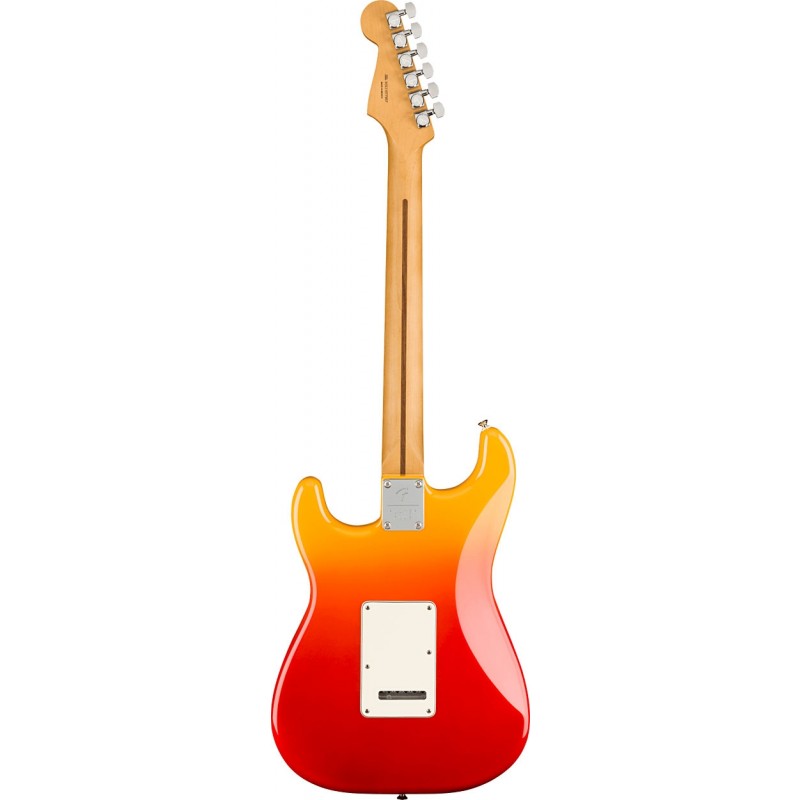 Fender Stratocaster® Player Plus - Fender Chile